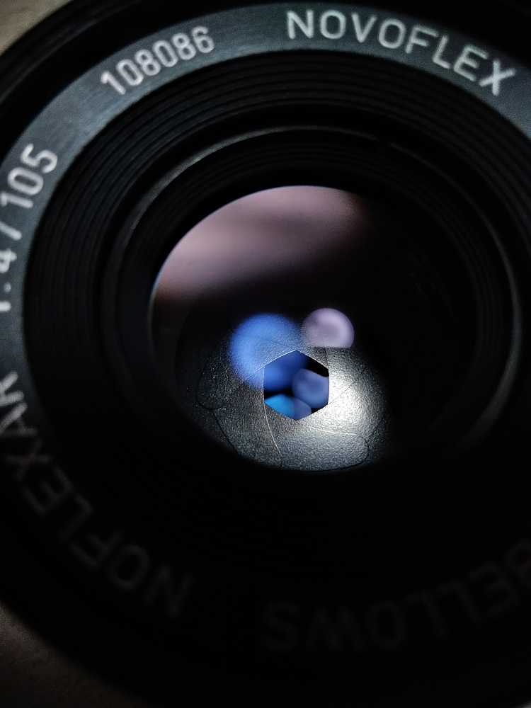 ドイツ製ベローズレンズ Novoflex Noflexar 105mm/F4 でフルサイズデジタル撮影～！: カメラと写真と猫と