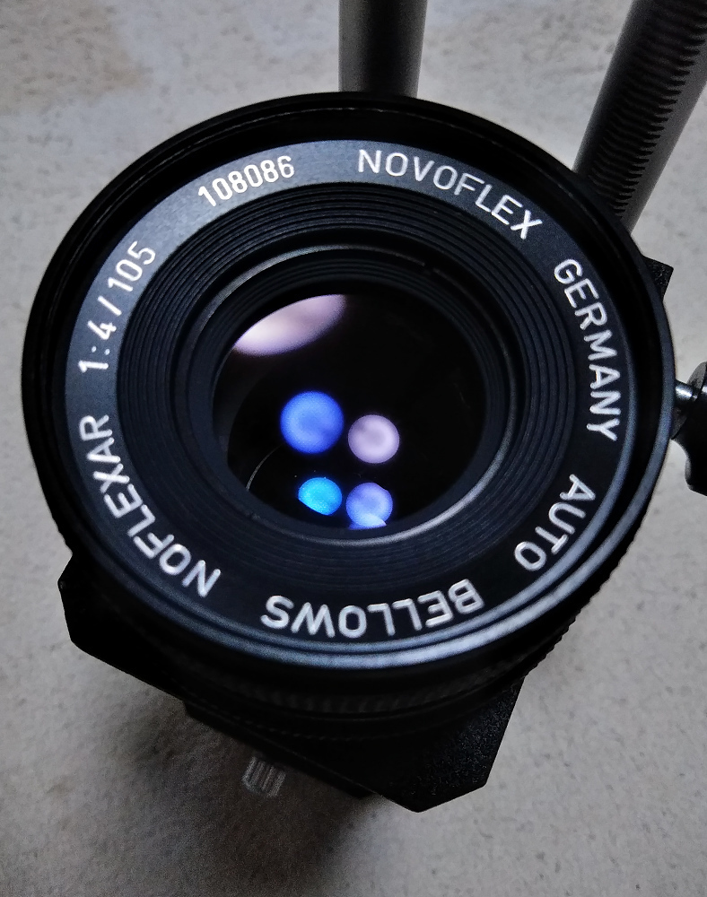 ドイツ製ベローズレンズ Novoflex Noflexar 105mm/F4 でフルサイズデジタル撮影～！: カメラと写真と猫と