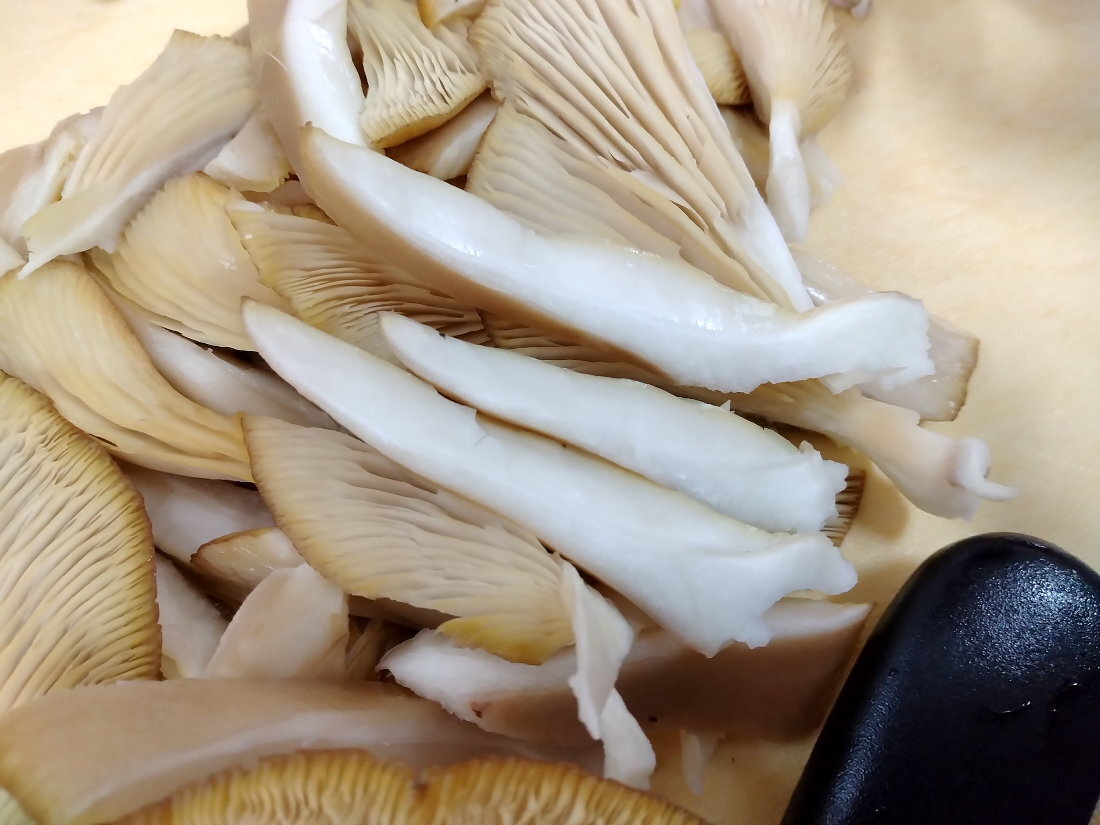 2023年10月20日に前庭で採取したヒラタケ、とっくの昔に炊き込みご飯にして美味しくいただいております(^^)v: カメラと写真と猫と