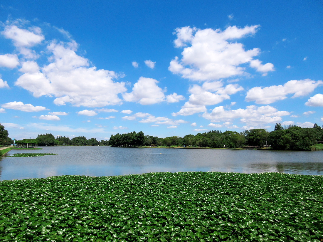 水元公園に行って来ました^^/ その1: カメラと写真と猫と